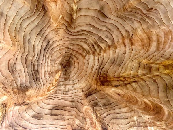 Cypress Wood | Hardwood Furniture - Made In Baltimore