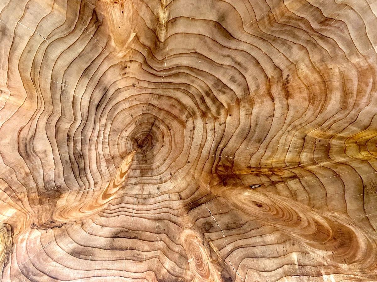 Cypress Wood Makers Woodshop